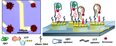 Electrochemical dual-aptamer biosensors based on nanostructured ...
