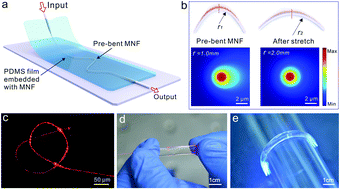 A multifunctional skin-like wearable optical sensor based on an optical ...