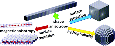 Assembly of nanocube super-structures directed by surface and magnetic ...