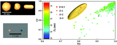 The optical nanosizer – quantitative size and shape analysis of ...