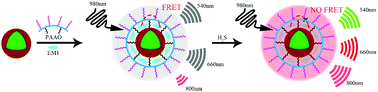 A FRET-based upconversion nanoprobe assembled with an electrochromic ...