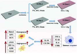 Nanosized concave pit/convex dot microarray for immunomodulatory ...
