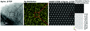 Using HAADF-STEM for atomic-scale evaluation of incorporation of ...