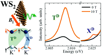 Neutral and charged dark excitons in monolayer WS2 - Nanoscale (RSC ...