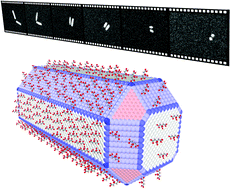 Selective shortening of gold nanorods: when surface functionalization ...