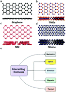 Towards future physics and applications via two-dimensional material ...