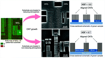 Surface passivation dictated site-selective growth of aligned carbon ...