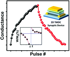 A 2D material-based floating gate device with linear synaptic weight ...