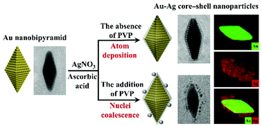 Unravelling the shell growth pathways of Au–Ag core–shell nanoparticles by in situ liquid cell ...