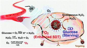 A cascaded enzyme-loaded Fe–hemoporfin framework for synergistic ...