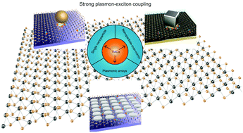Strong plasmon–exciton coupling in transition metal dichalcogenides and ...