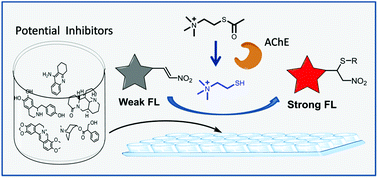 A new fluorescent probe for sensing of biothiols and screening of ...
