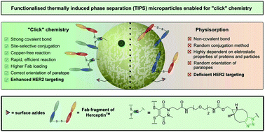 Functionalised thermally induced phase separation (TIPS) microparticles ...