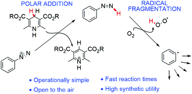 σ-Bond initiated generation of aryl radicals from aryl diazonium salts ...