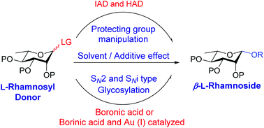 Recent advances in β-l-rhamnosylation - Organic & Biomolecular ...
