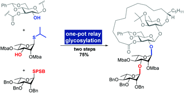 Total synthesis of tricolorin A via interrupted Pummerer reaction ...