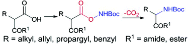 Synthesis of protected α-amino acids via decarboxylation amination from ...
