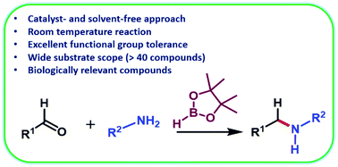 Catalyst- and solvent-free efficient access to N-alkylated amines via ...