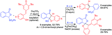 Synthesis of indenofurans, benzofurans and spiro-lactones via Hauser ...