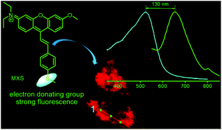 Novel near-infrared fluorescent probe with a large Stokes shift for sensing hypochlorous acid in ...