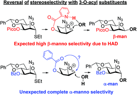 A versatile approach to the synthesis of mannosamine glycosides ...
