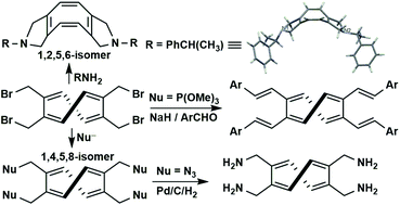 Which isomer is it, 1,2,5,6- or 1,4,5,8-tetrasubstituted cycloocta-1,3 ...