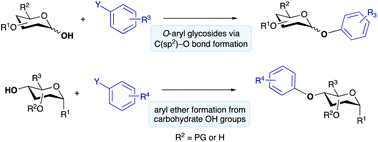 Recent advances in the direct O-arylation of carbohydrates - Organic ...