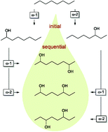 Biocatalytic synthesis of non-vicinal aliphatic diols - Organic ...