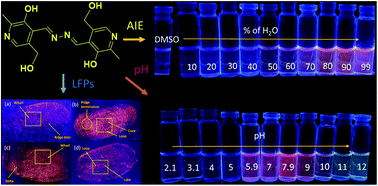 An aggregation-induced emission active vitamin B6 cofactor derivative ...