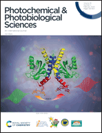 Front cover - Photochemical & Photobiological Sciences (RSC Publishing)