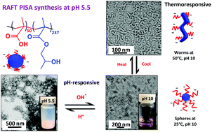 Aqueous solution behavior of stimulus-responsive poly(methacrylic acid ...