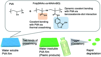 Preparation of cross-linked poly(vinyl alcohol) films from copolymers ...