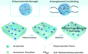 Physical entanglement hydrogels: ultrahigh water content but good ...