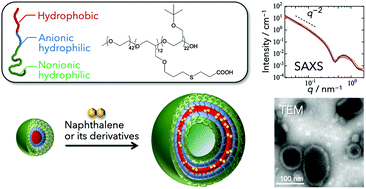 Polymersome formation induced by encapsulation of water-insoluble ...
