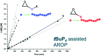 Polymerization of epoxide monomers promoted by tBuP4 phosphazene base ...