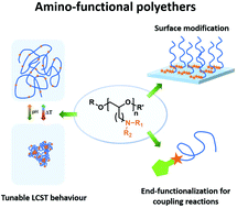 Amino-functional polyethers: versatile, stimuli-responsive polymers ...