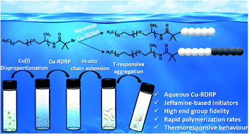Aqueous copper-mediated reversible deactivation radical polymerization ...