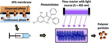 Miniemulsion photopolymerization in a continuous tubular reactor ...