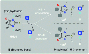 Tunable hydantoin and base binary organocatalysts in ring-opening ...