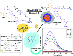 Azoreductase-triggered fluorescent nanoprobe synthesized by RAFT ...