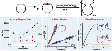 Vinyl-addition polymerizations of cycloallenes: synthetic access to ...