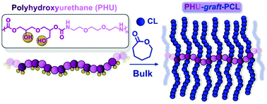 Solubility-governed architectural design of polyhydroxyurethane-graft ...