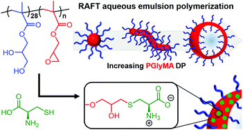Rational synthesis of epoxy-functional spheres, worms and vesicles by ...