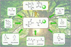 Synthesis and polymerization of bio-based acrylates: a review - Polymer ...