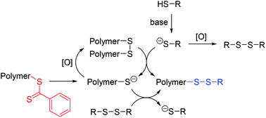 Aminolysis induced functionalization of (RAFT) polymer-dithioester with ...