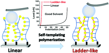 Unraveling the nanomechanical properties of surface-grafted conjugated polymer brushes with ...