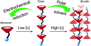 Hierarchical self-assembly and controlled disassembly of a cavitand ...