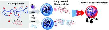 Delineating synchronized control of dynamic covalent and non-covalent ...