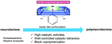 Sodium complexes bearing cavity-like conformations: a highly active and ...