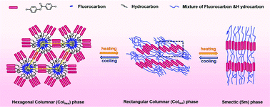 Multimesophase transitions of main-chain liquid crystalline copolymers ...